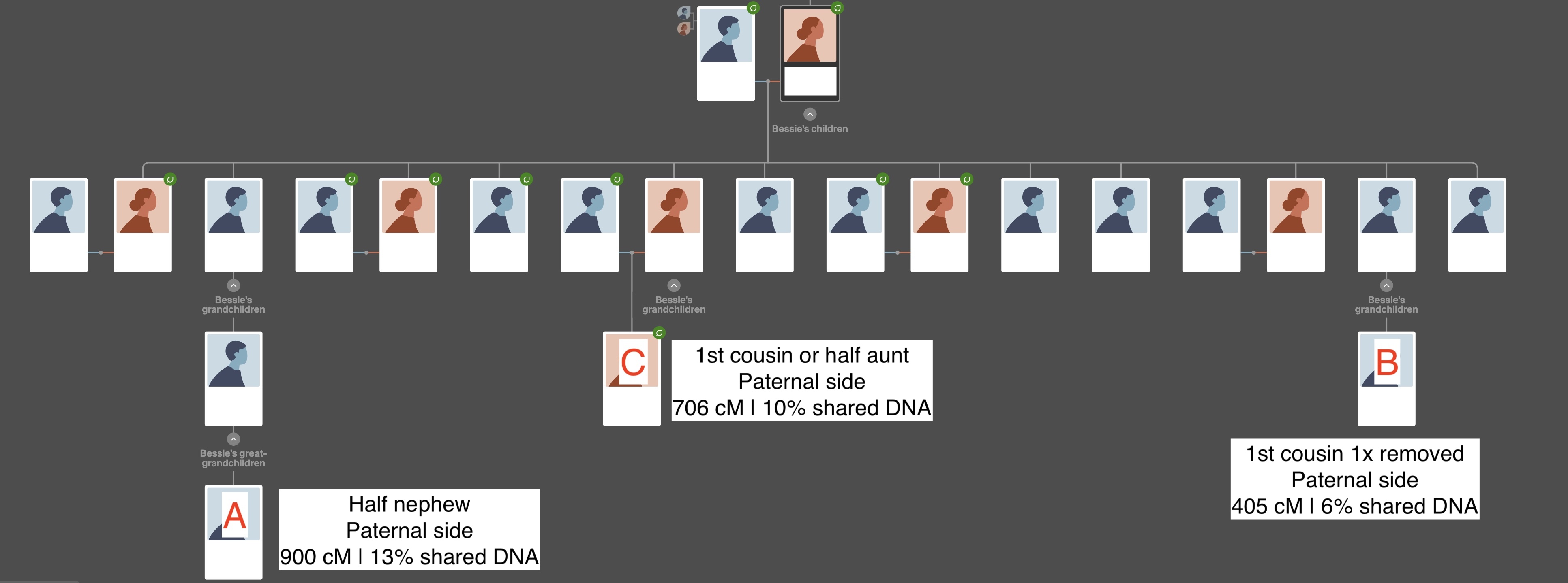Need some help interpreting Ancestry's predicted DNA match : r/Genealogy